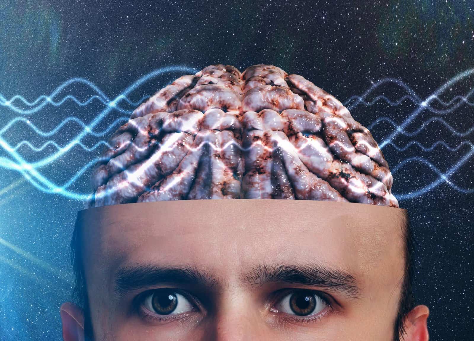 AP Psychology Study Resource: Drive Theory - AP Psychology Community