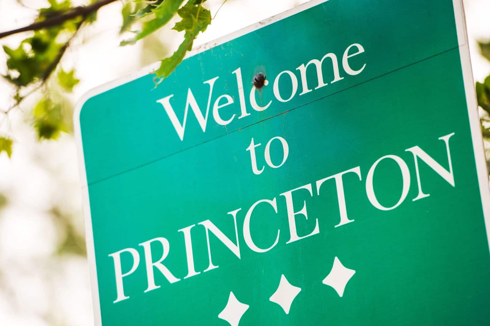 The Princeton Trilogy - AP Psychology Community