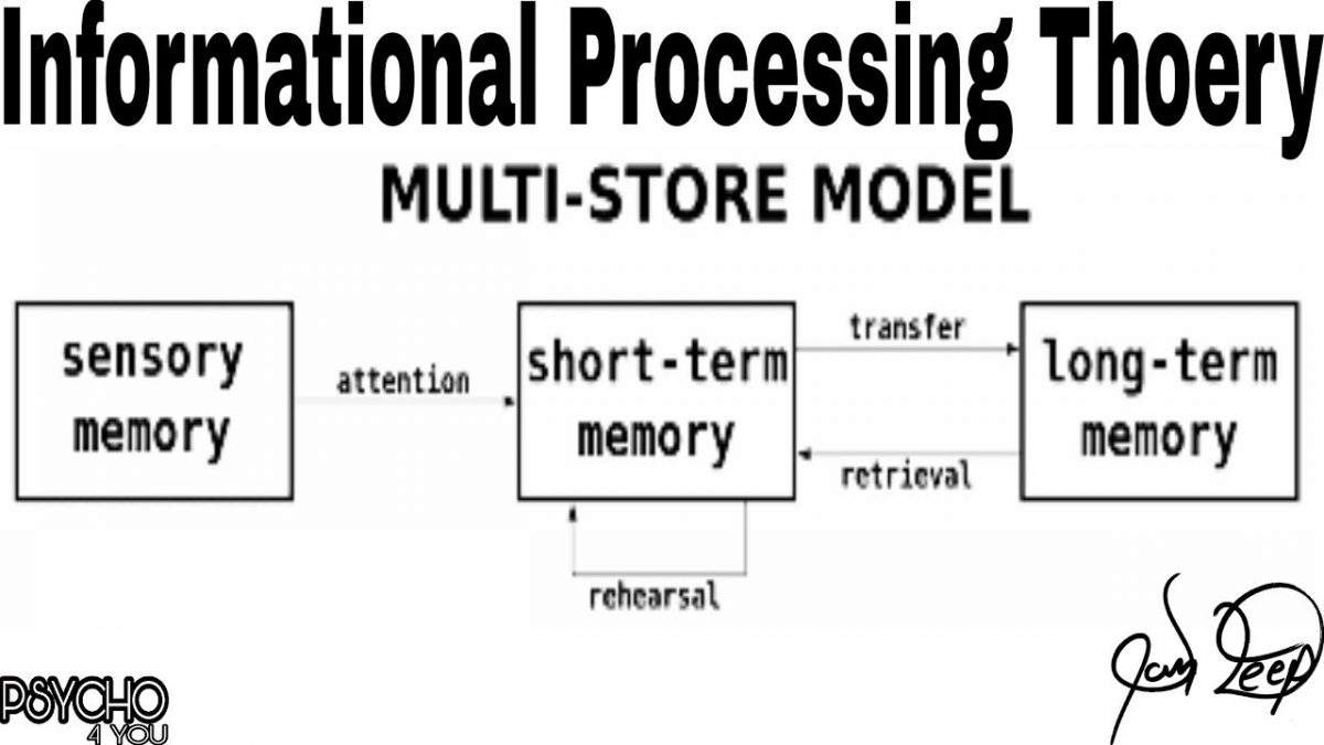 AP Psychology Study Resource: Information Processing Theory - AP ...