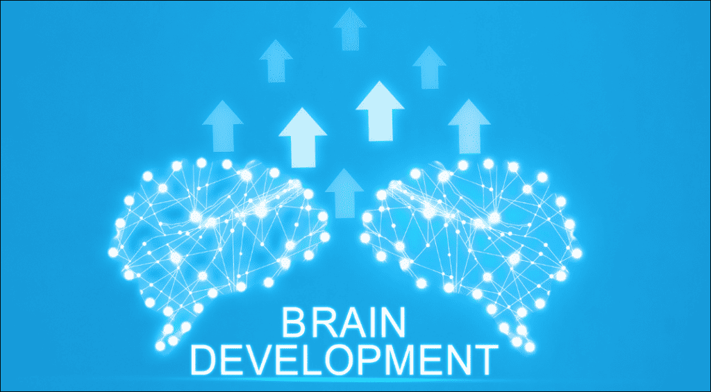 Exploring the Interplay of Brain Development and Psychology: A ...