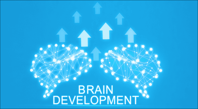 Exploring the Interplay of Brain Development and Psychology: A ...
