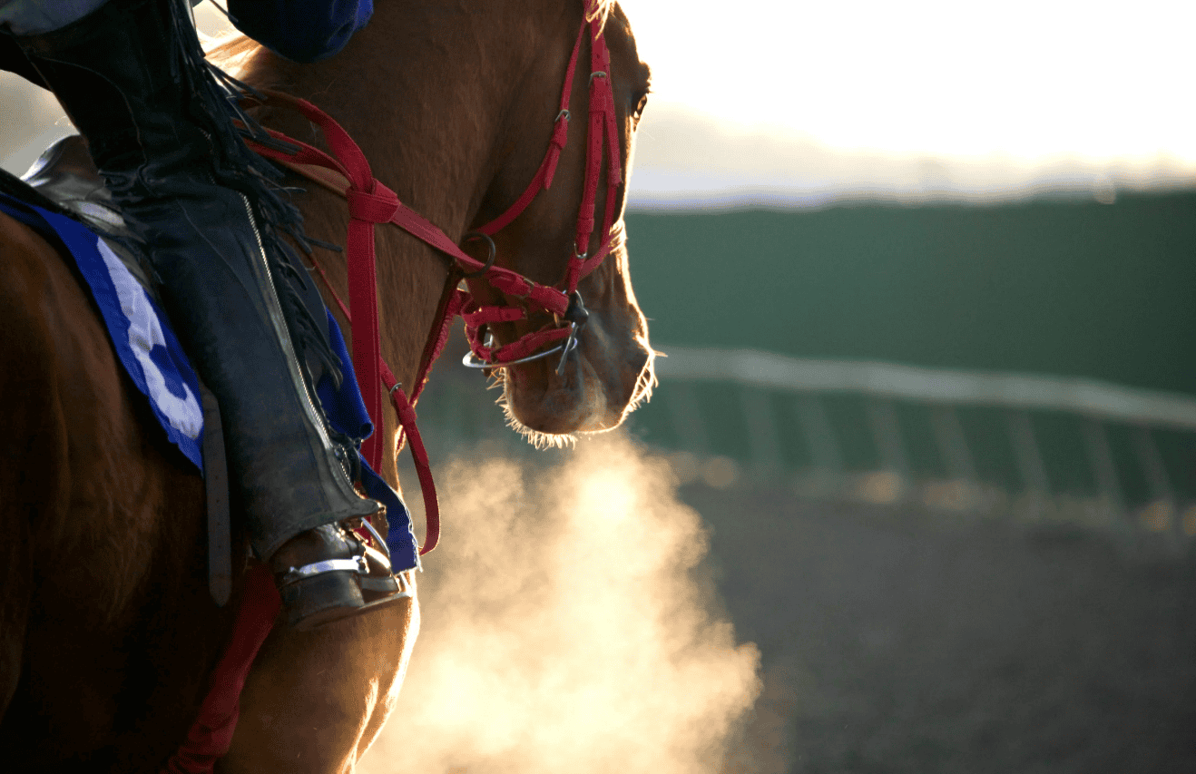 Inside The Jockey’s Mind: Understanding Psychological Factors In Horse ...