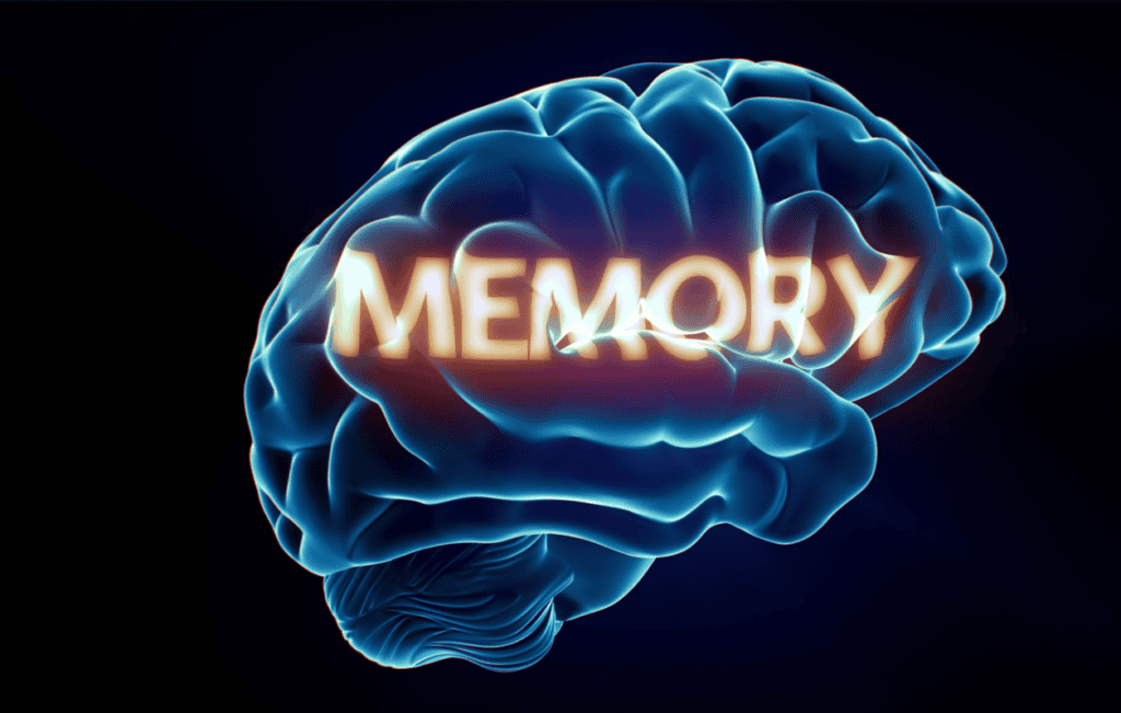 How the Word Memory Test Helps in Monitoring Age-Related Memory Loss