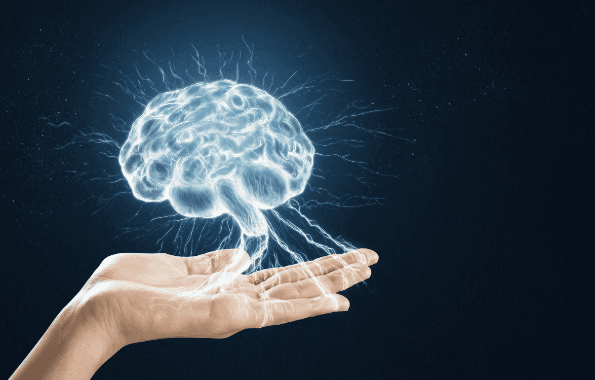 What Is The Triune Brain Approach to Family Dynamics