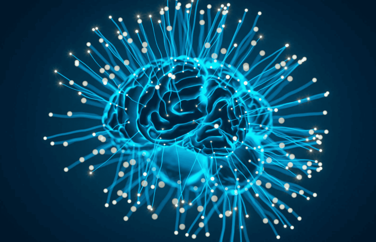 What Is The Triune Brain Approach to Family Dynamics