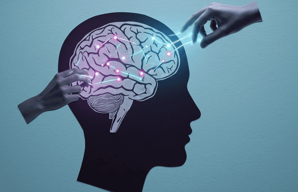 Understanding the Link Between Cellular Biology and Cognitive Psychology