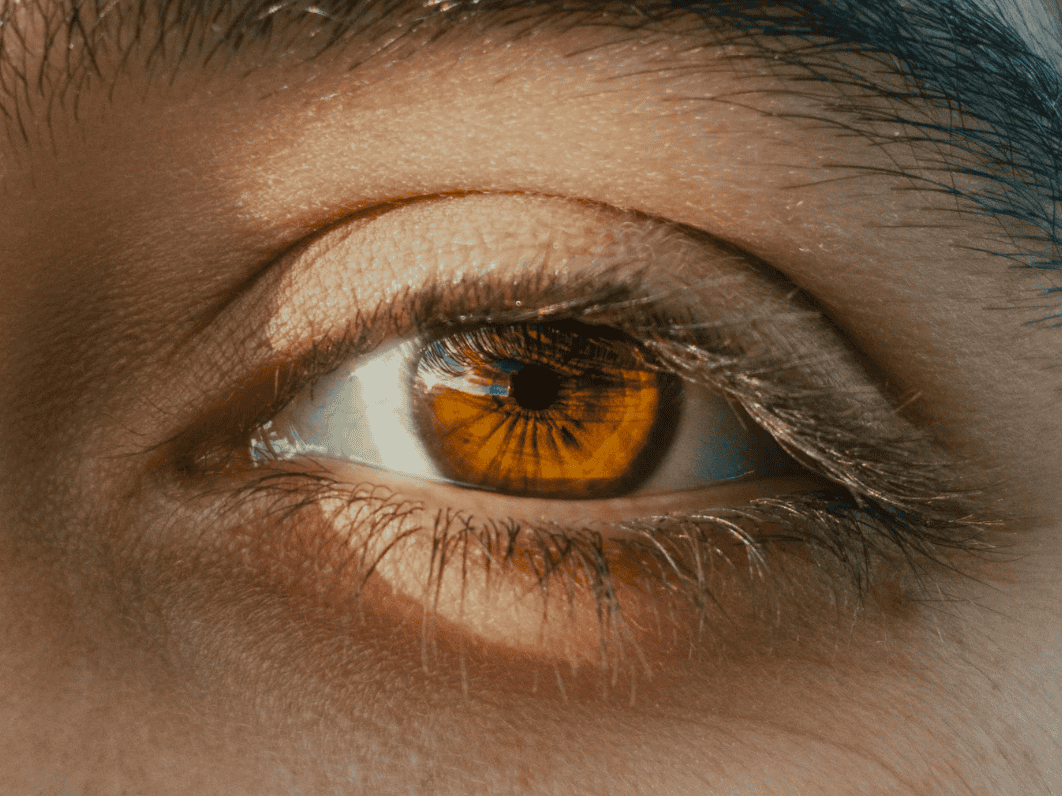 The Three Forces That Shape Your Mind: Clarity, Drive, and Inertia